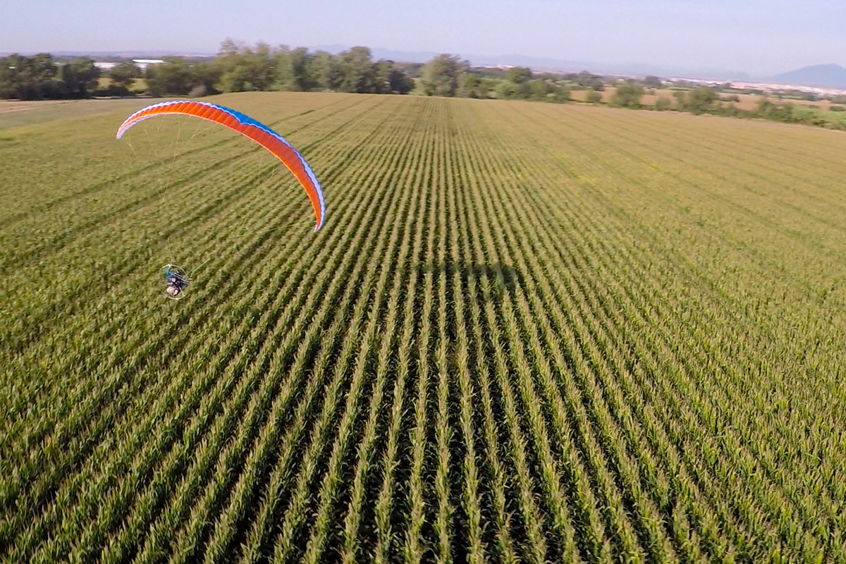 Ozone Kona Paraglider - BlackHawk Paramotors USA